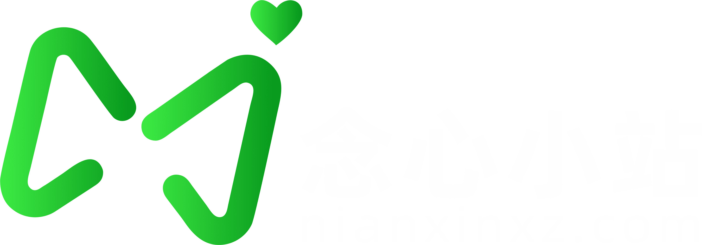 wx_video_windows_x64 免费PC端视频号下载工具-念心小站